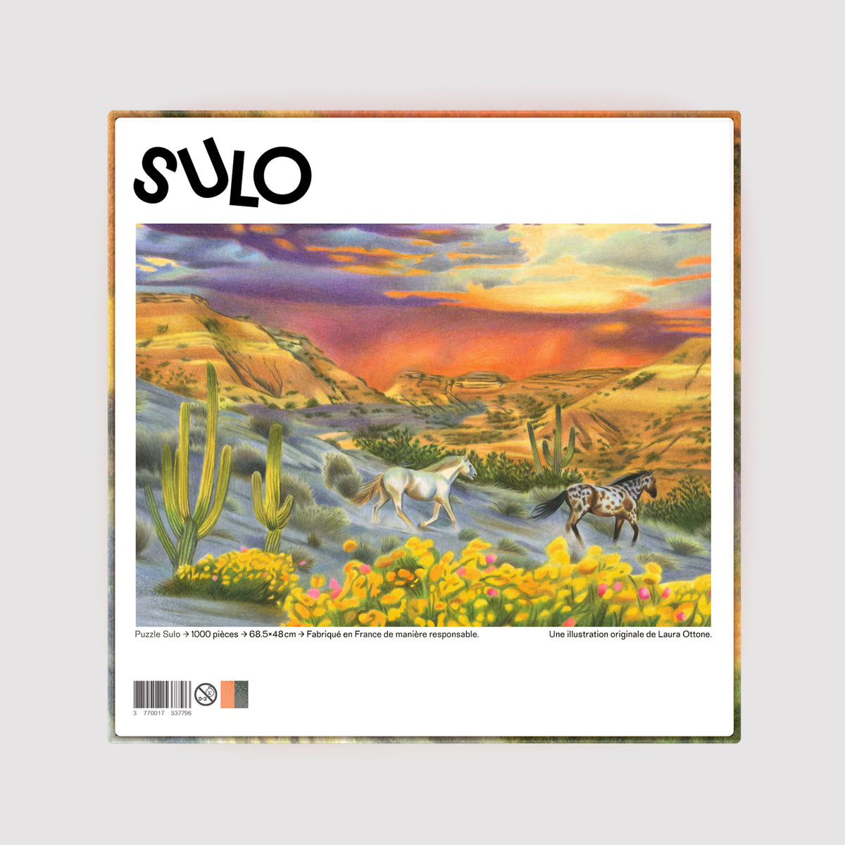 Arizona par Laura Ottone – Sulo